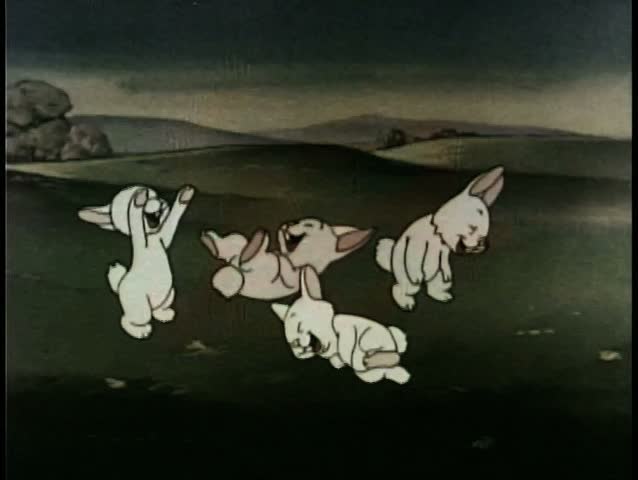 Wide Shot Laughing Rabbits Stock Footage Video (100% Royalty-free ...