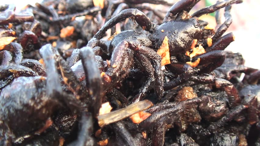 Pile of Huge Black Spiders Stock Footage Video (100% Royalty-free ...