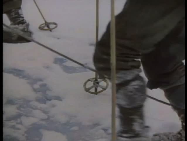 Men On Expedition Trudging Through Snow Storm In Antarctica Stock ...