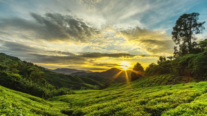 Farms and landscape with morning dawn colors image - Free stock photo ...
