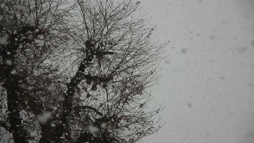 Storm Seen Through The Window, With Big Rain Drops, Hdv, 1080i Stock ...