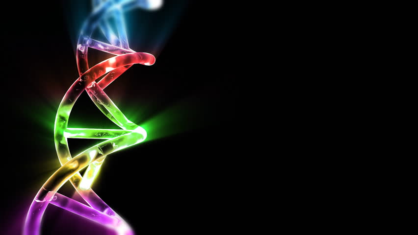 3d Animation Of Dna Strings Rotating Over A White Isolated Background ...