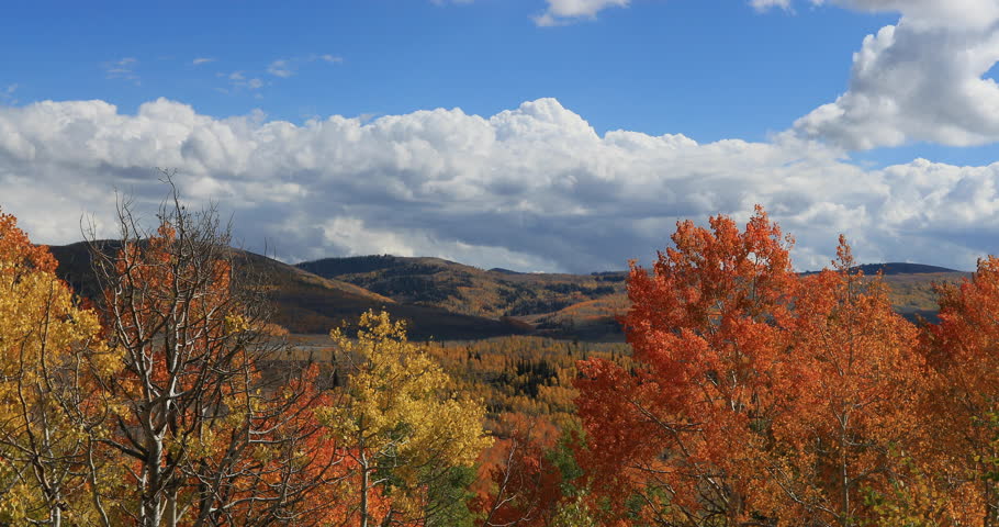 Brilliant Beautiful Autumn Mountain Valley. Stock Footage Video (100% ...