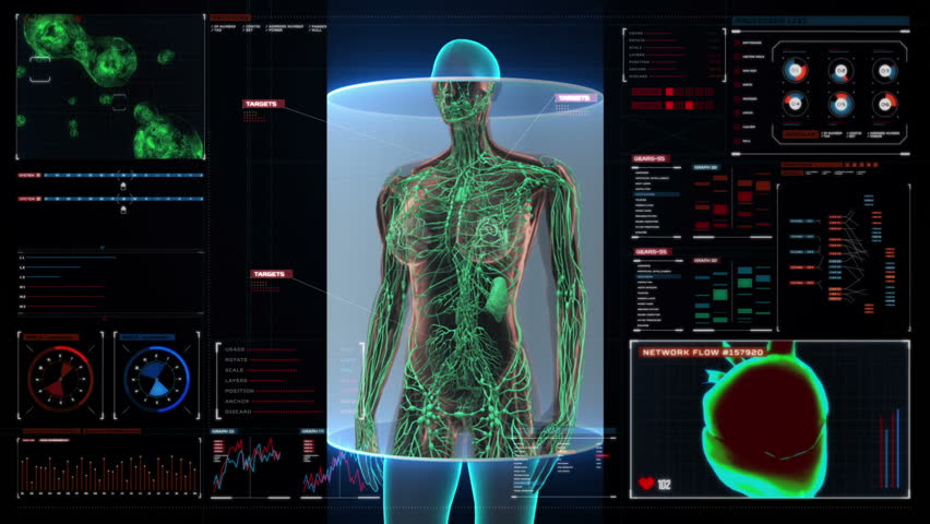 Scanning Blood Vessel In Female Body In Digital Display Dashboard. X ...