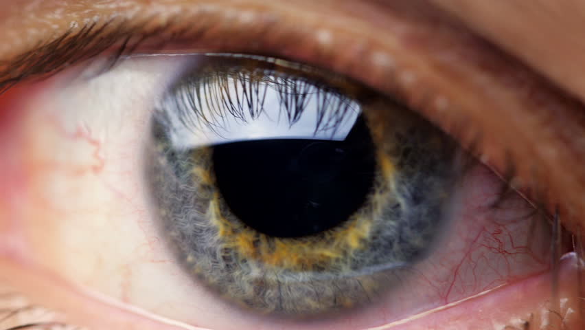 Human Eye Iris Contracting. Extreme Close Up. 4K UHD 2160p Footage ...