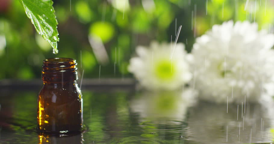 Blend Of Essential Oils With Water Drops, Scents And Aromas In ...