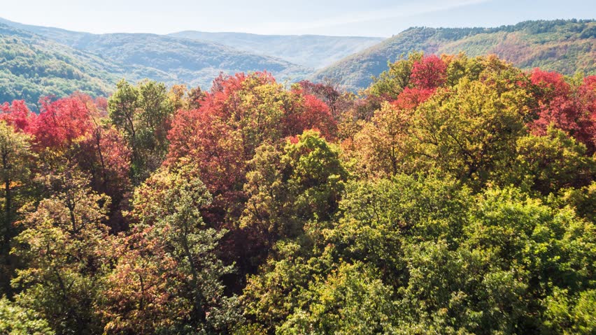 A Beautiful Autumn Scene In The Mountains Of Tennessee Stock Footage ...