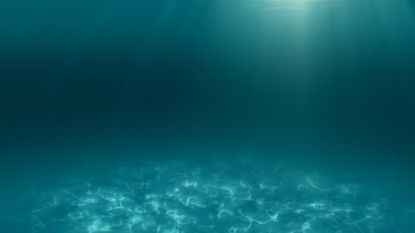 Ocean Floor Stock Footage Video | Shutterstock