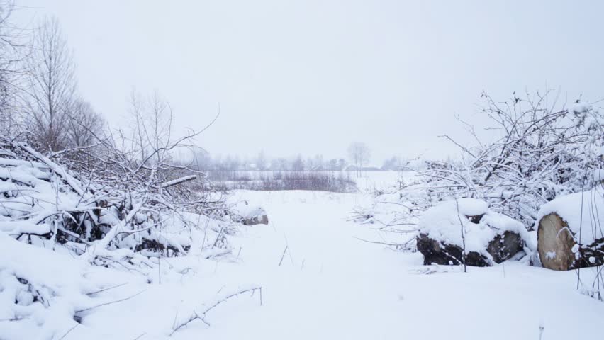 Winter Landscape. A Beautiful Snowy Scene Taken On A Yorkshire Moor ...