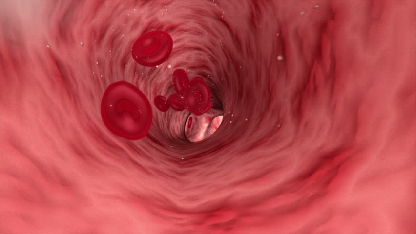 Inside A Human Blood Vessel - 1080p HD Scientific Animation. Stock ...