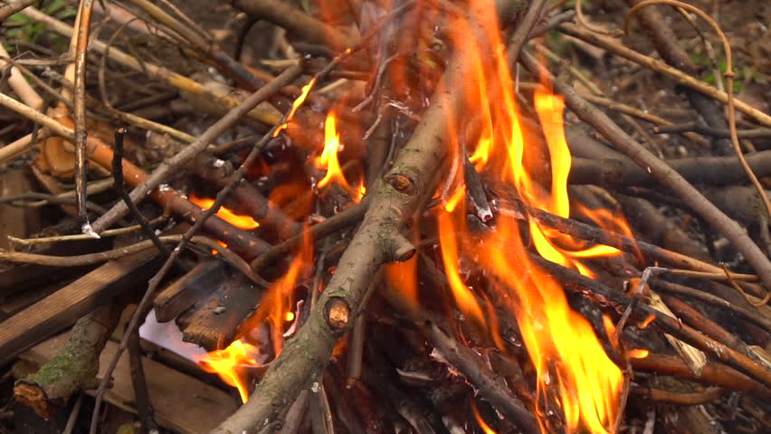 Close Up Of A Wild Camping Fire, With Gentle Flames And Smoke. Stock ...