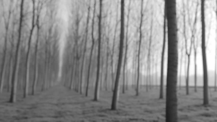 Mysterious Creepy Figure Hiding Behind A Tree Stock Footage Video ...