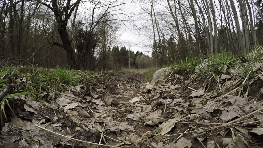 Dirty Washed Out Forest Dirt Road Stock Footage Video 29261887 ...