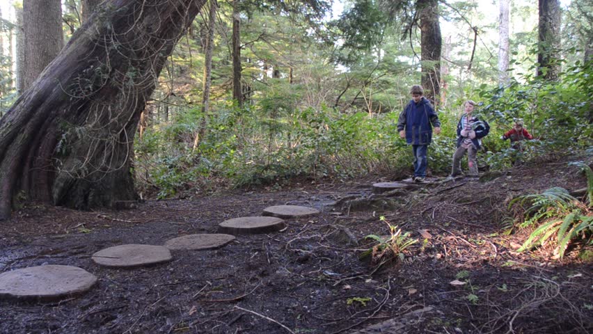 Stock video of children run across stumps through majestic | 2631818 ...