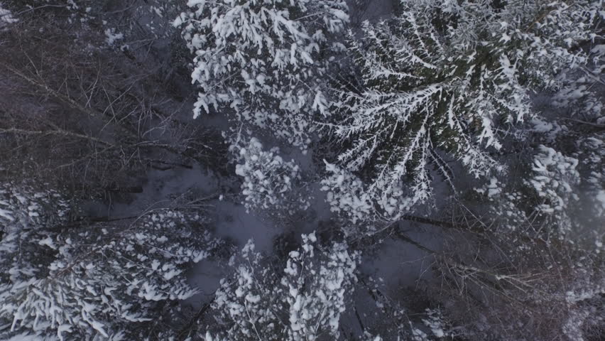 Ice Forming Stock Footage Video 1368907 | Shutterstock