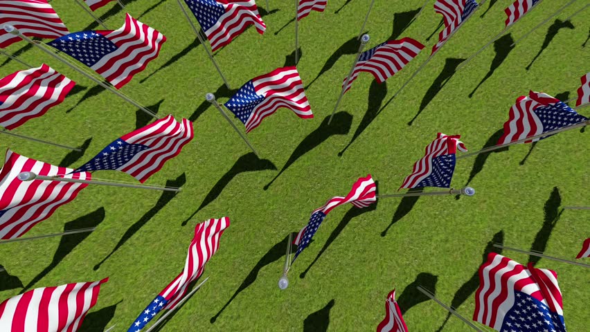 3 D Flag Stock Video Footage - 4K and HD Video Clips | Shutterstock