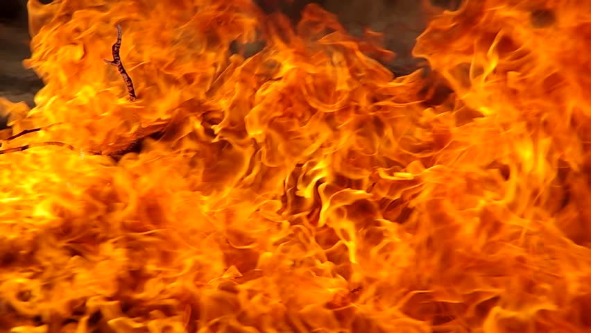 Animation Of Fire Or Flames Stock Footage Video 347200 | Shutterstock