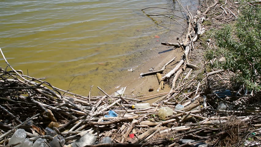 Dirty And Abandoned Shore Of The Lake Stock Footage Video 12016940 ...