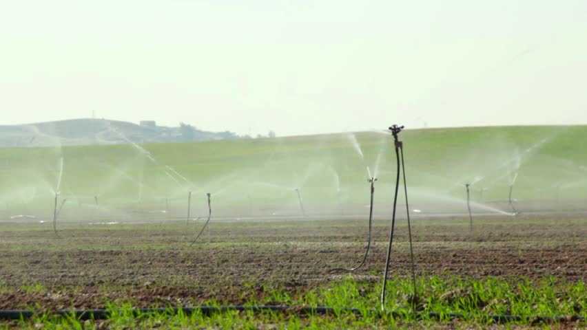 Sprinkler Irrigation With Turbines In The Background ... Stock Footage ...
