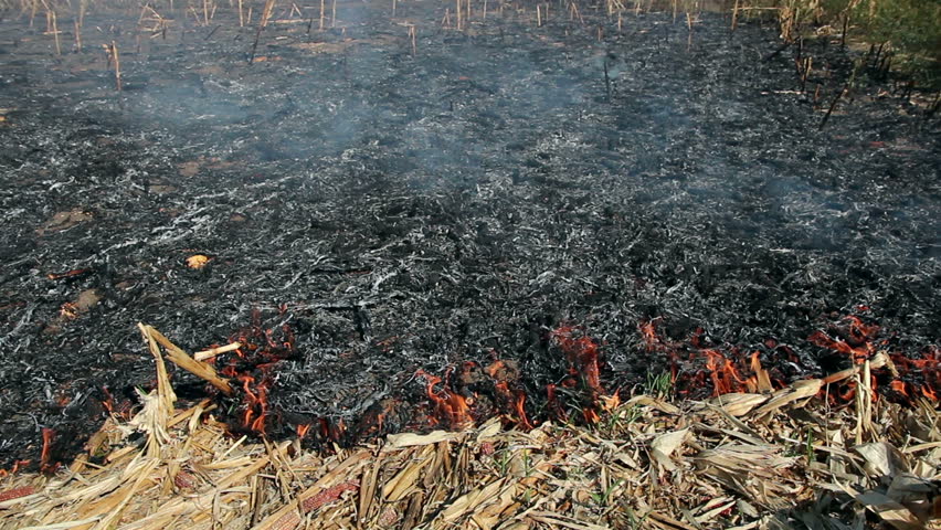 Stock video of waste to energy. burning biomass. hd1080p. | 2864638 ...