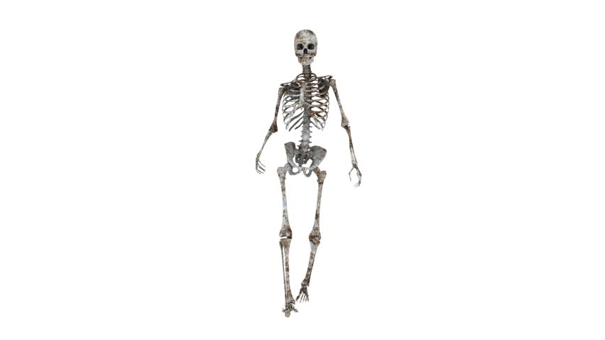 A Walking Skeleton. Stock Footage Video 2853 | Shutterstock
