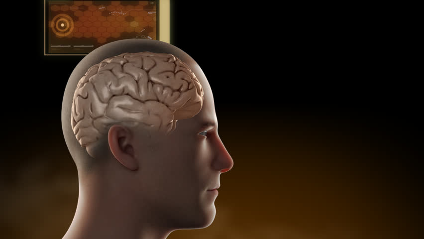 Head Neck Rotation Of Transparent Human Male Skull Showing Inside Brain ...