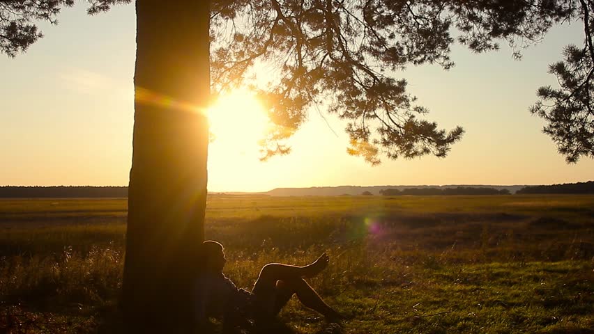 Human Sitting Under Tree. Man Repose On Grass In Nature. Outdoors ...