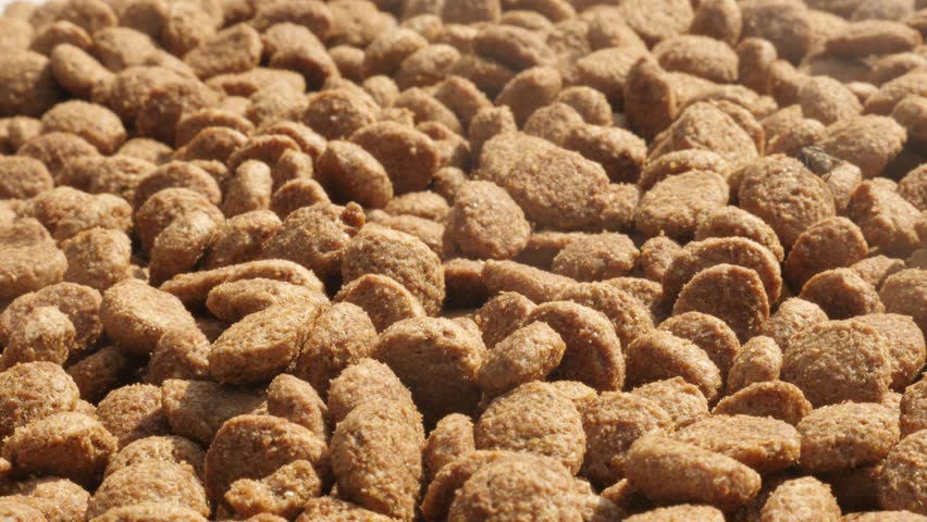 Pile Of Cat Or Dog Pellets Close-up 4K 2160p 30fps UltraHD Tilting ...