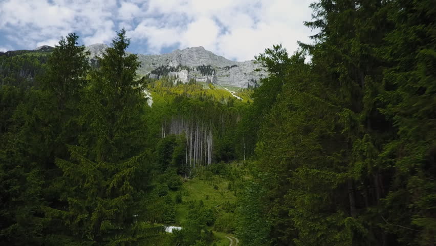 Aerial of Austrian Forest Stock Footage Video (100% Royalty-free ...