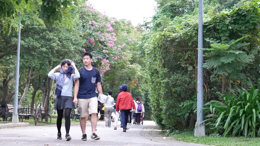 3 Happy Friends Walk Down Path Through Park Toward Camera Stock Footage ...