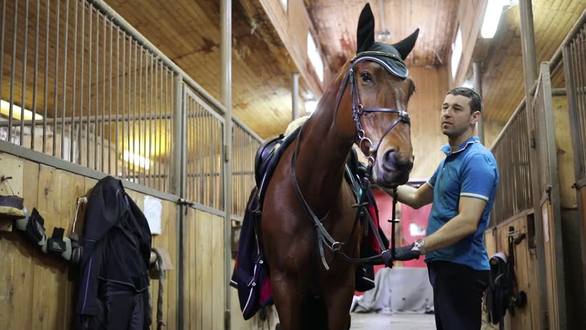 Man Is Standing Next To A Horse In The Stables, Slow Motion Stock ...