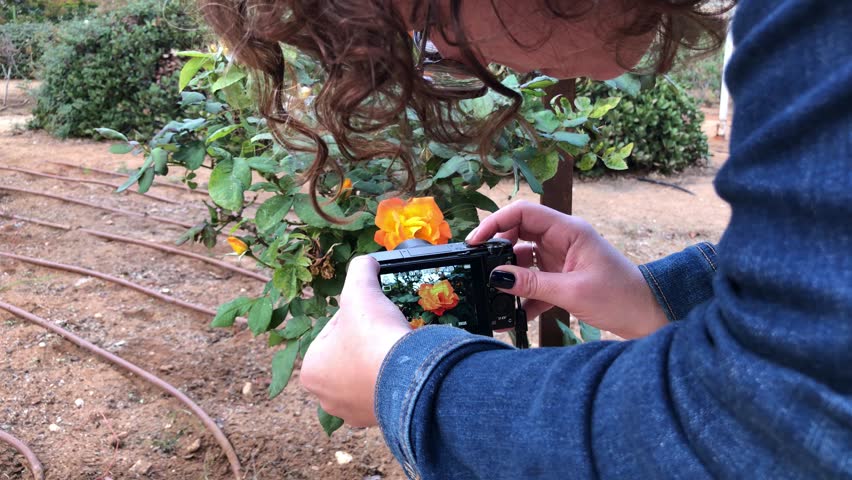 Woman taking photo with point and shoot Camera image - Free stock photo ...