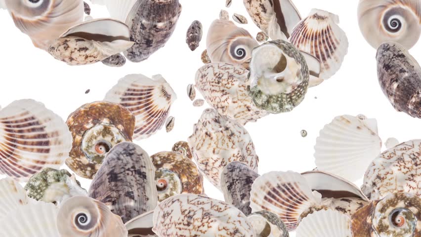 Falling Shells as Background Video Stock Footage Video (100% Royalty ...