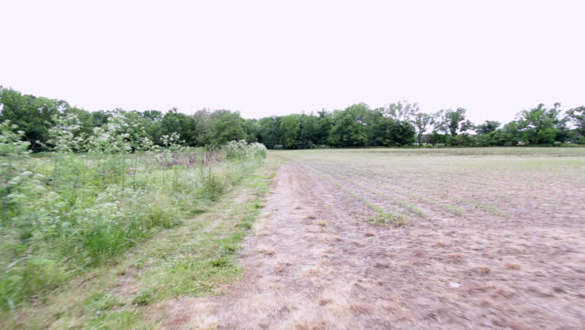 Driving Down Empty Crop Fields Stock Footage Video (100% Royalty-free ...