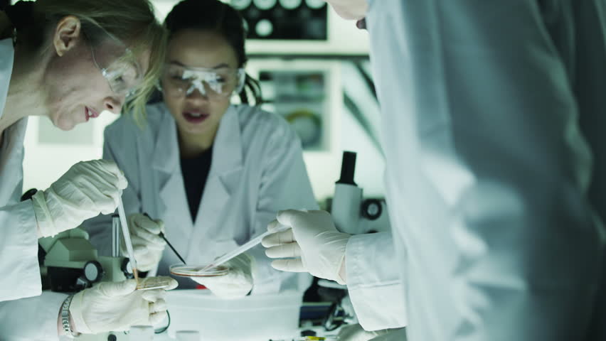 Diverse Team Of Scientists Or Researchers Are Working Together In A ...