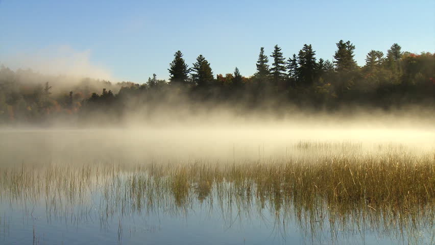 Stock video of morning mist flows over marsh grasses | 4366238 ...