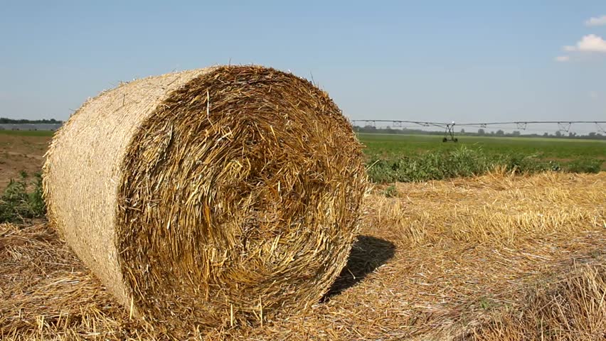 Hay Field with Round Haystacks Stock Footage Video (100% Royalty-free ...