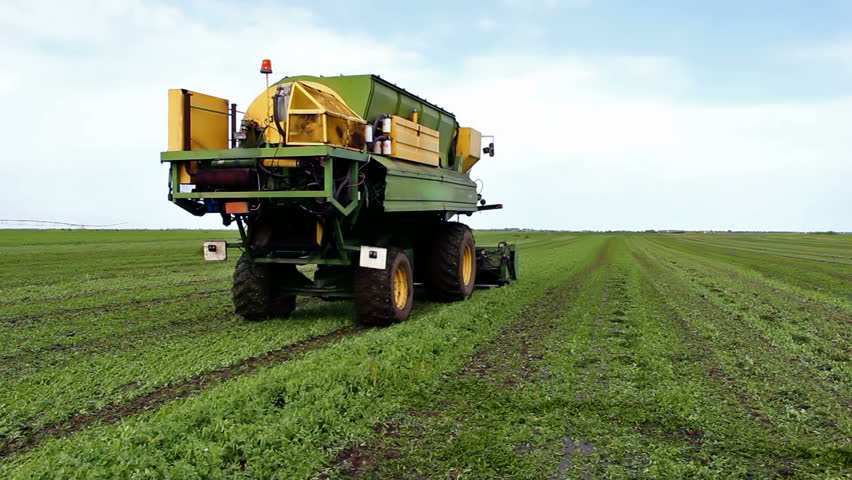 Harvester In The Field ; Specialized Combine For Harvesting Peas In The ...