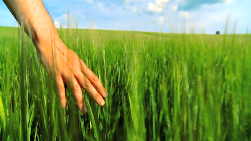 Hand Brushing Over Heads of Stock Footage Video (100% Royalty-free ...