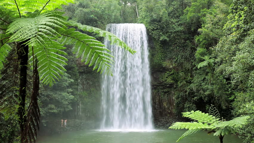 Australia Rainforest Waterfall