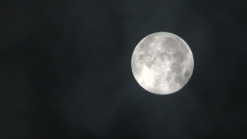 Animated Cartoon Halloween Background Bat And Moon With Alpha Mask ...