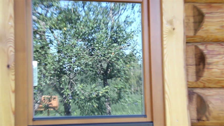 Reflection of Tree in the Stock Footage Video (100% Royalty-free ...