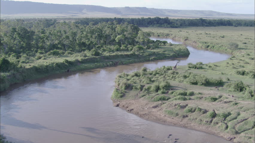 Stock Video Clip of Savanna River Migration Africa. A scenic view ...