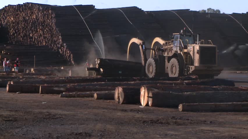 LOG PICKER DOZER AT LUMBER MILL LOGGING TREES WITH HEAVY EQUIPMENT WIDE ...