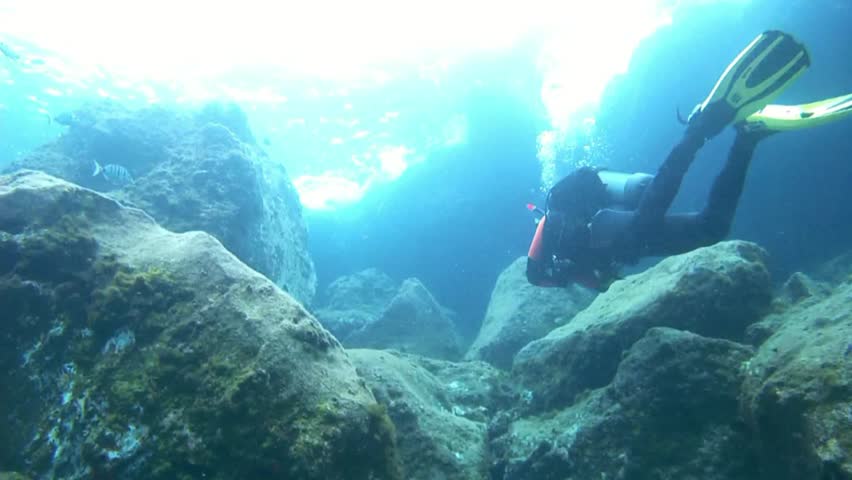 Diver with Shell Underwater Stock Footage Video (100% Royalty-free ...