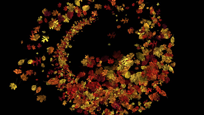 Stock video of swirling animation of autumn leaves in | 5961398 ...