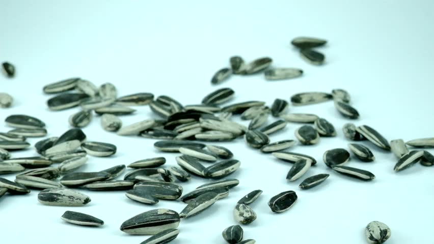 Closeup of Sunflower Seeds Falling Stock Footage Video (100% Royalty ...