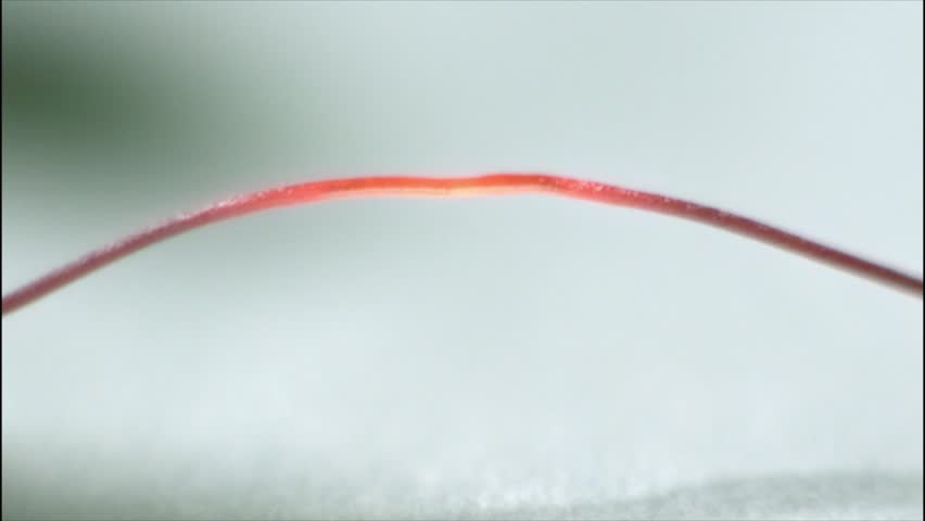 Fuse Wire Burning Through. Slow Stock Footage Video (100% Royalty-free ...
