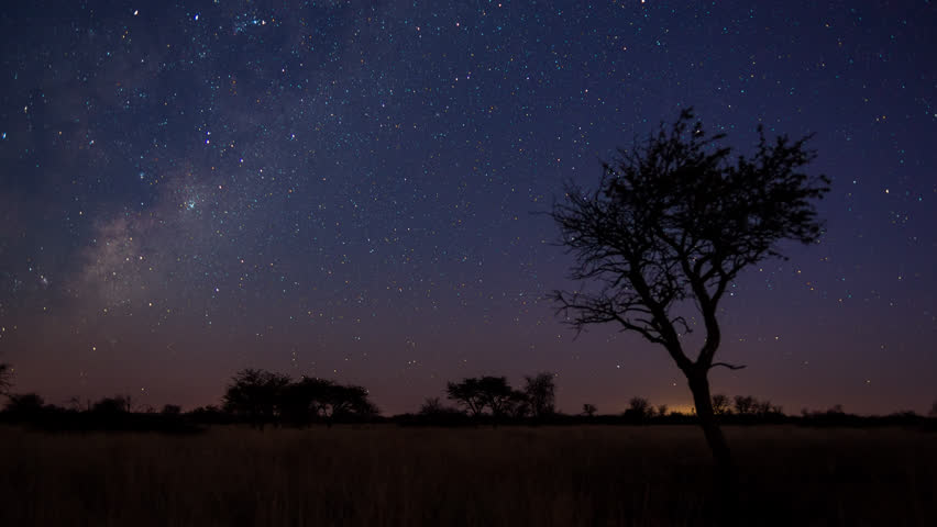 Bushveld Stock Video Footage - 4K and HD Video Clips | Shutterstock