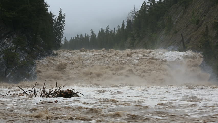 Stock video of flooded river and tree debris being | 7698088 | Shutterstock Stock video of flooded river and tree debris being | 7698088 | Shutterstock